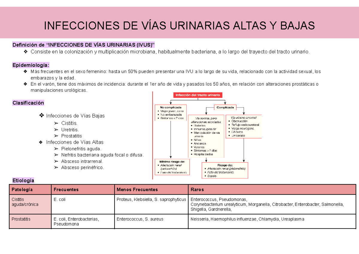 Infecciones De Vías Urinarias Definición Clasificación Y Tratamiento