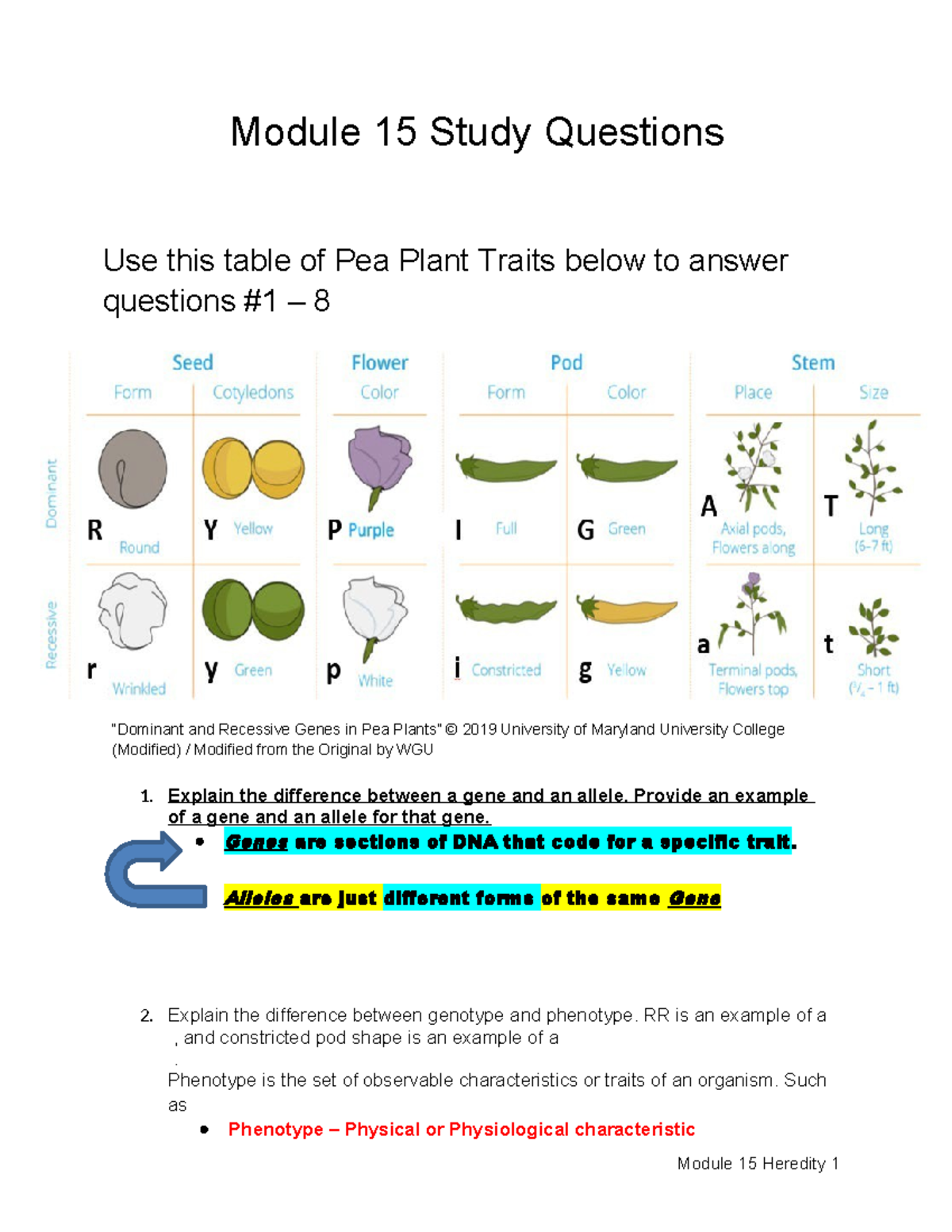 Module 16 Study Questions complete - Module 15 Heredity 1 Module 15 ...