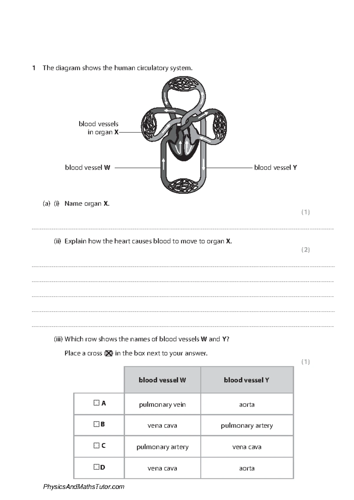 Year 9 Physics Revision List for 2024 - End of Year Assessment - Studocu