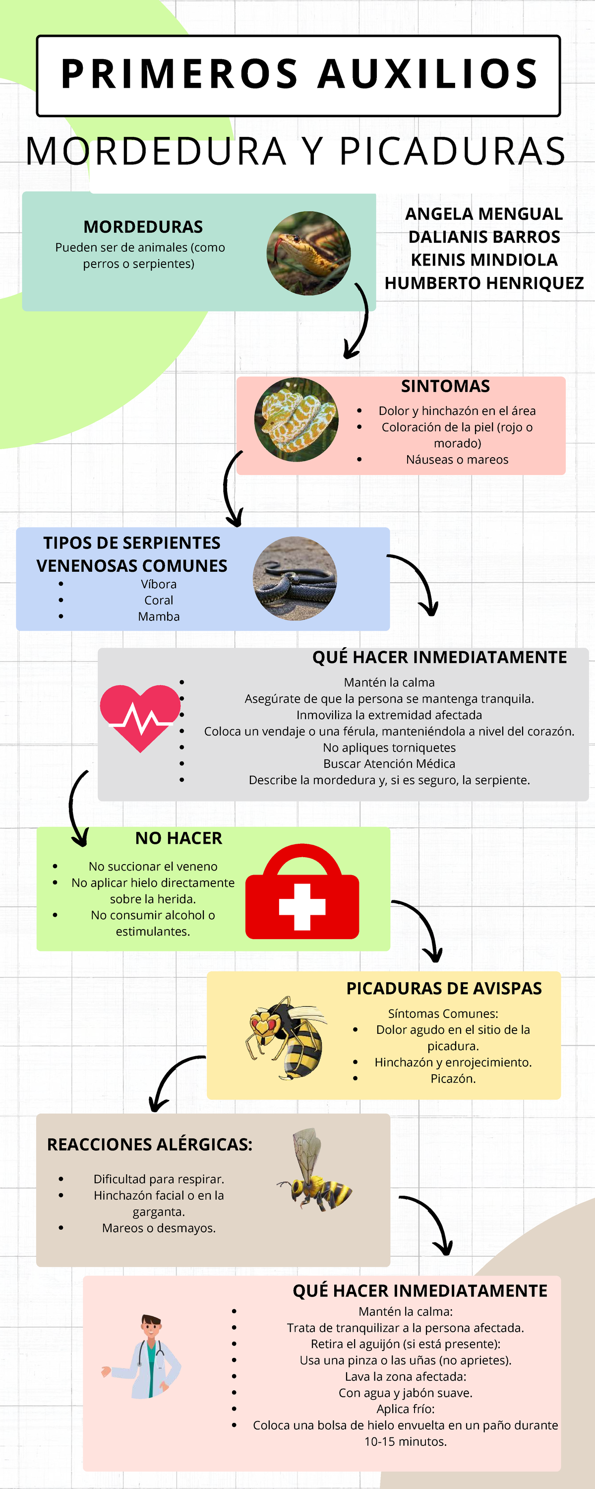 PRIMEROS AUXILIOS: MORDEDURAS Y PICADURAS - INFografía - Studocu