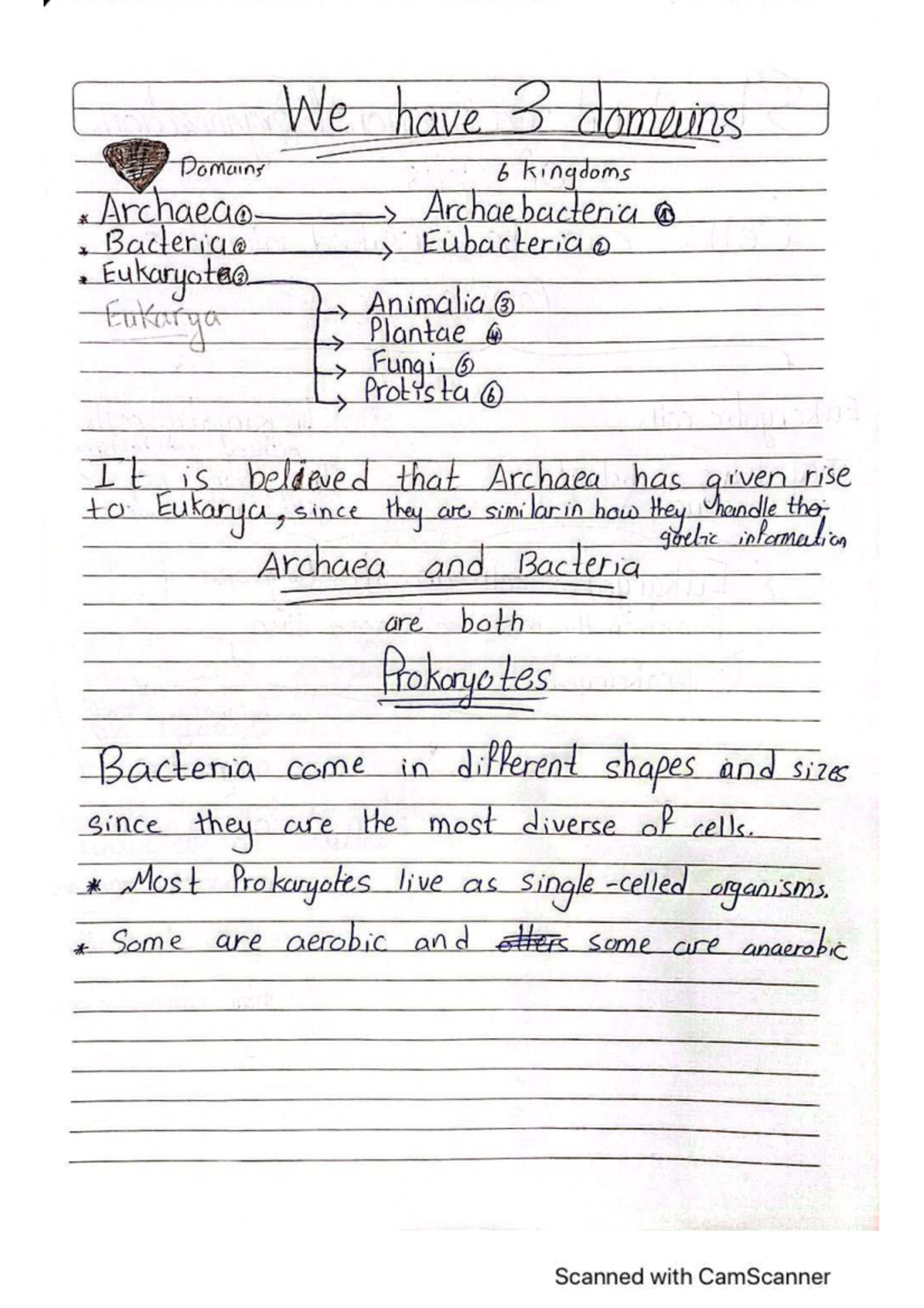 Med Bio 1-4 Lecture Notes: Domains, Elements, and Biological Molecules ...