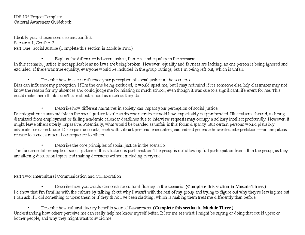 IDS 105 Project Template - IDS 105 Project Template Cultural Awareness ...