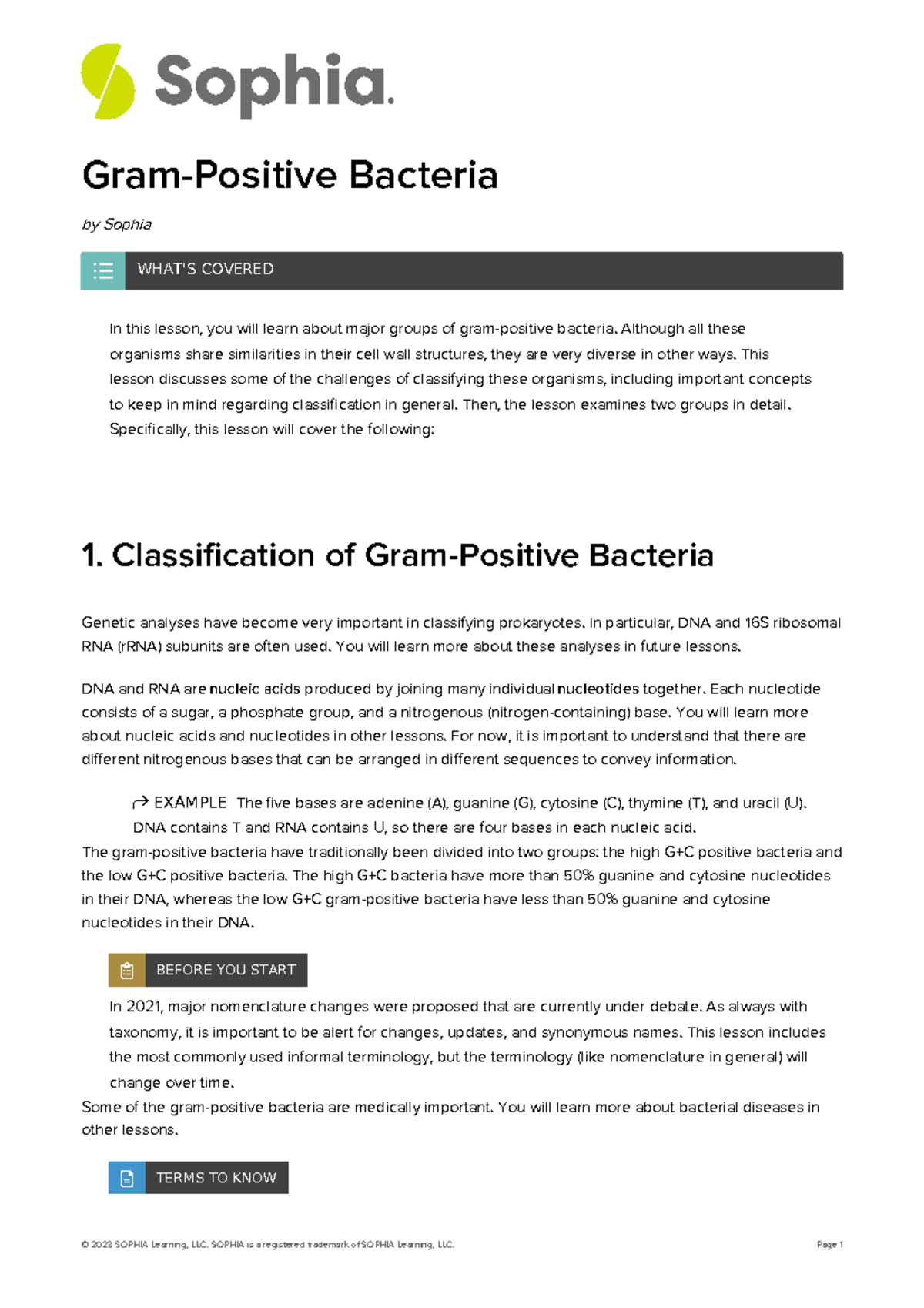 Gram-Positive Bacteria: Overview and Classification Insights - Studocu