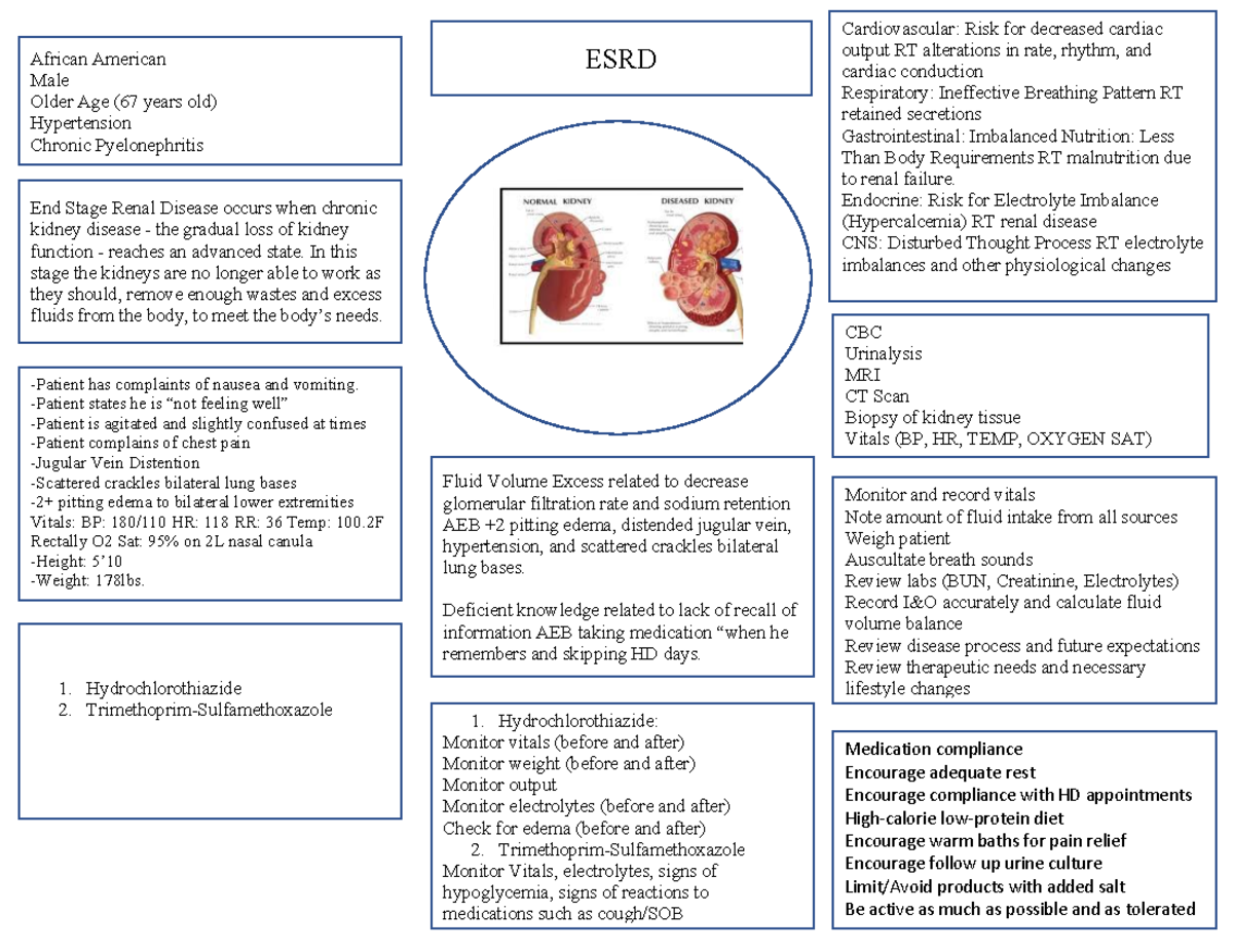 Renal Failure Concept Map Understanding Acute Kidney Injury: Causes,