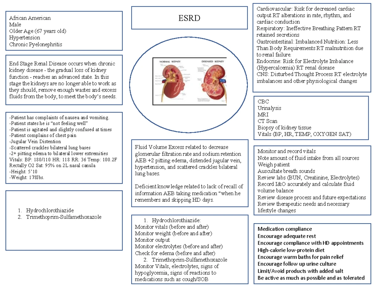 Clinical Packet 7: Fundamental Patient Assessments for Clinical Skills ...