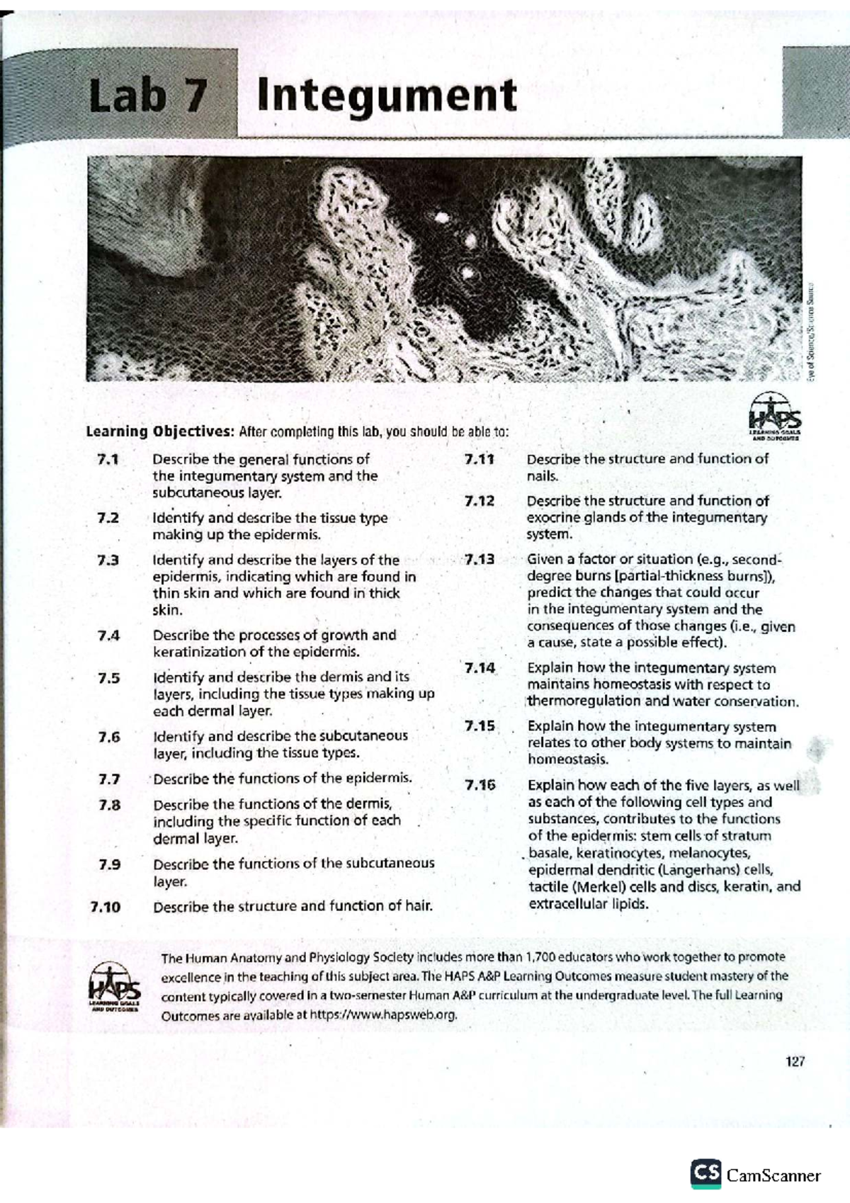 Lab Manual: Integumentary System Learning Objectives (Course Code ...