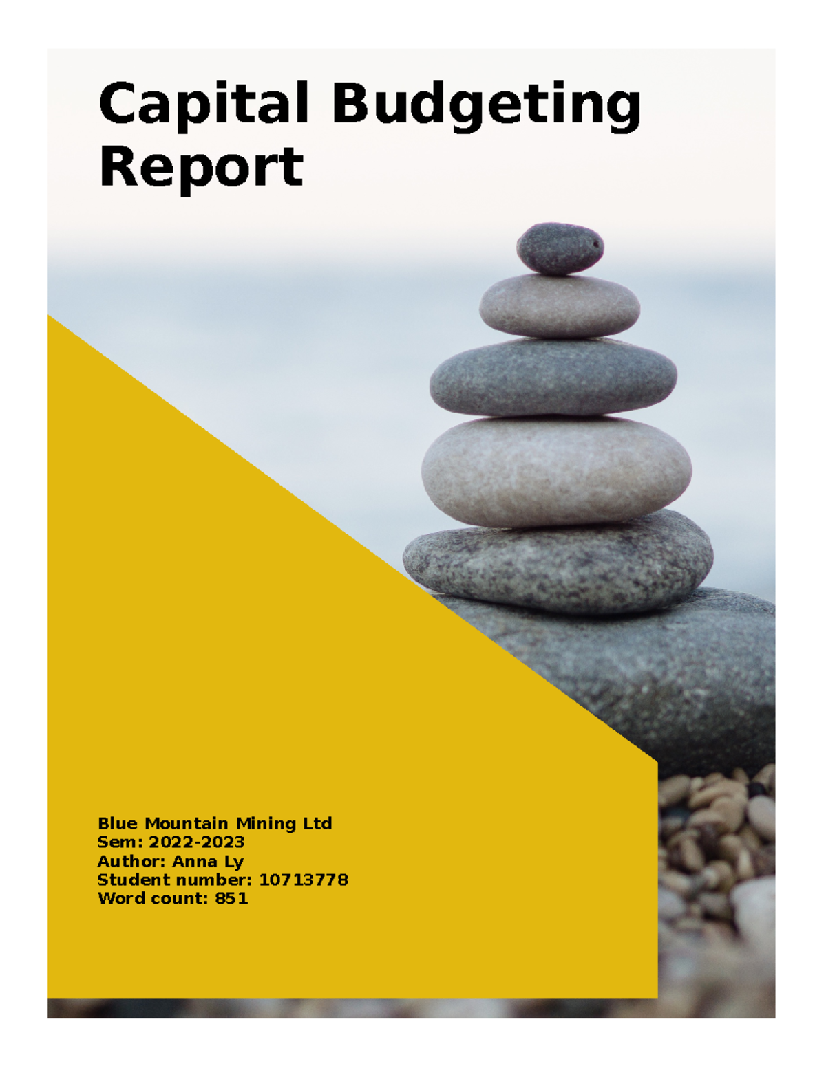 EFB210 Assignment 2022 2 Anna Ly Report - Capital Budgeting Report Blue ...