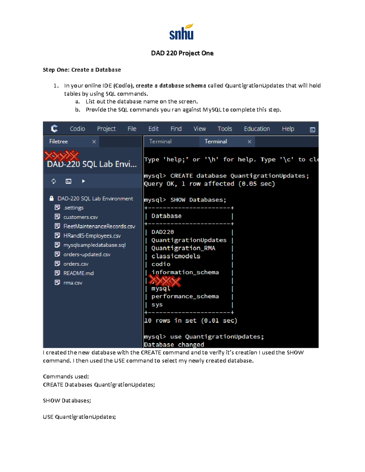 DAD 220 Module 6-1 Project: Database Creation & Data Management Tasks - Studocu