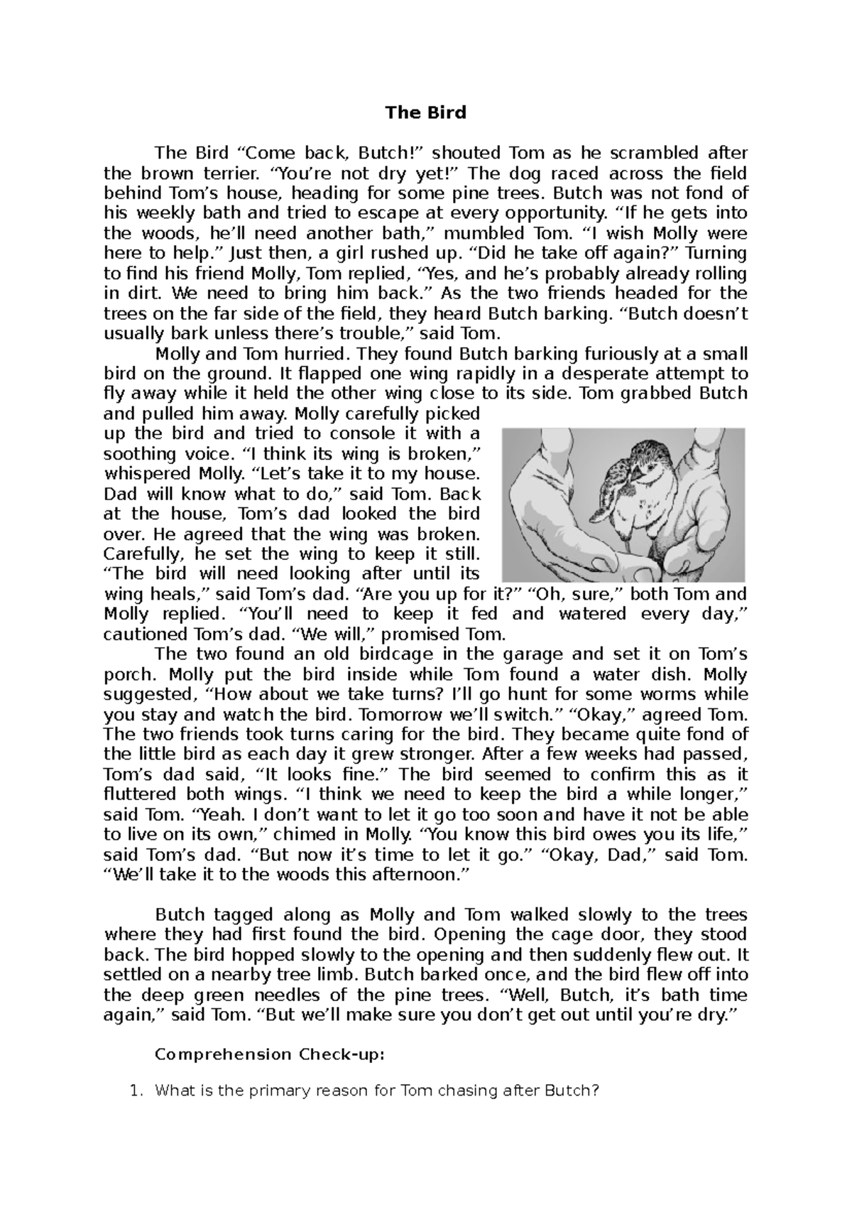 Reading Comprehension: The Bird and Its Care (Grade 5) - Studocu