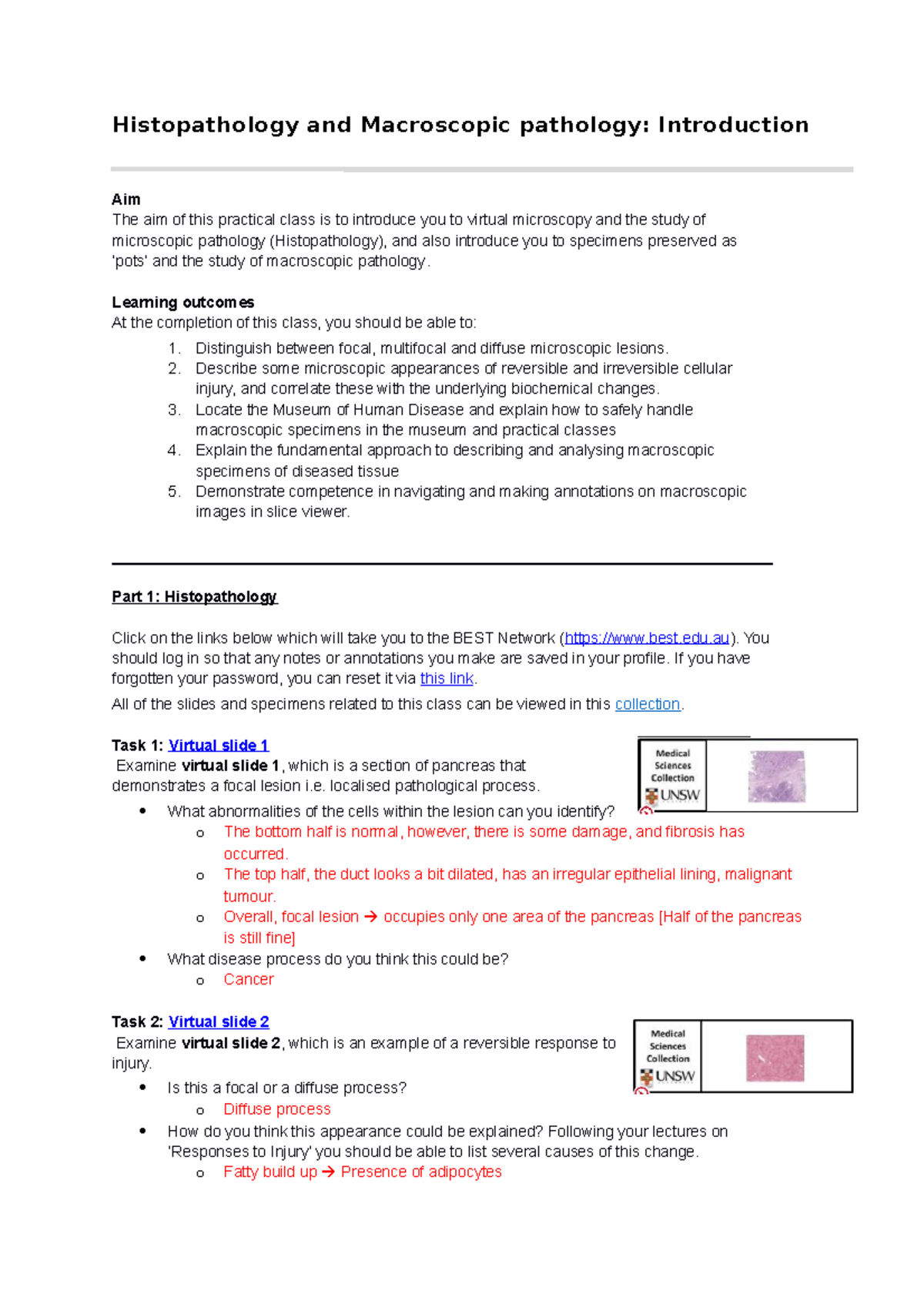 week 1 lab notes full - Histopathology and Macroscopic pathology ...