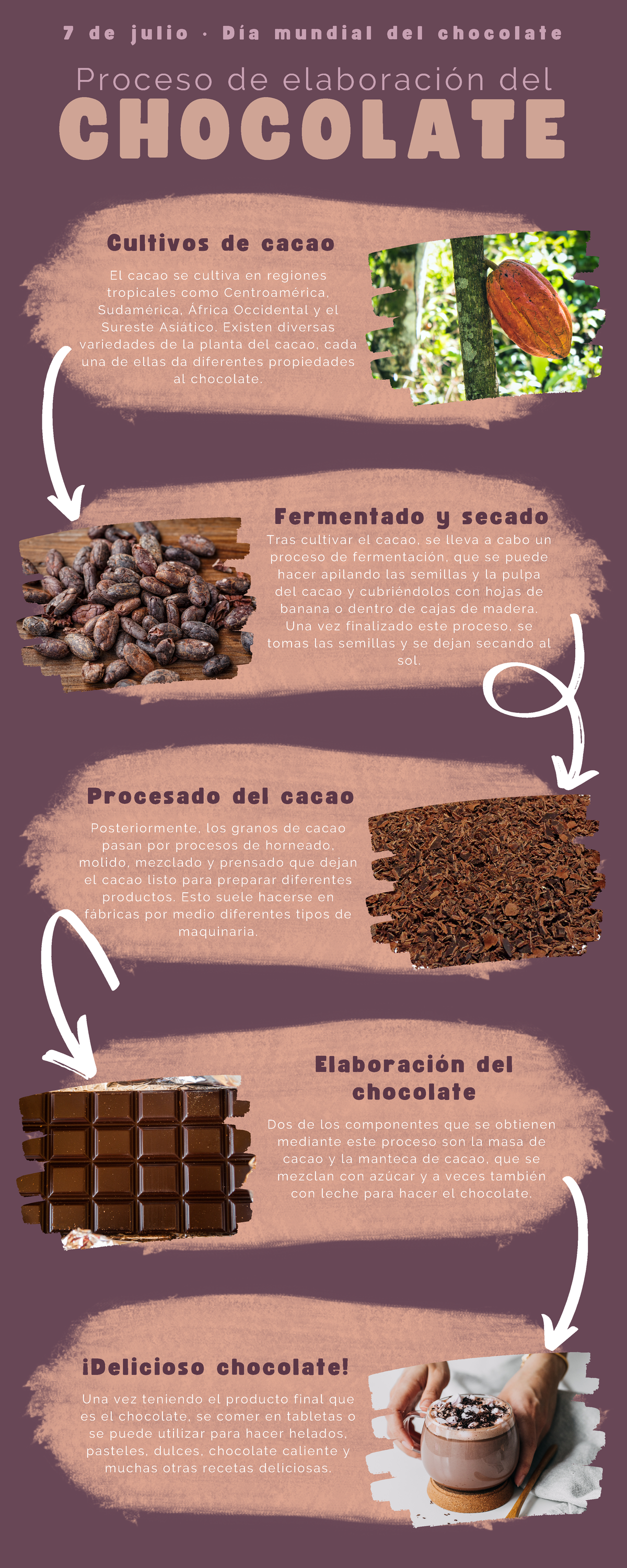 Proceso de Elaboración del Chocolate: Infografía del 7 de Julio - Studocu