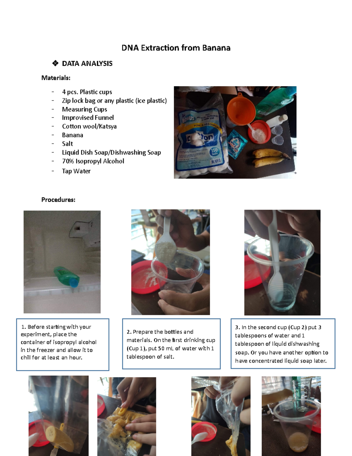 Biology Lab Notebook: Banana DNA Extraction & Analysis - Studocu