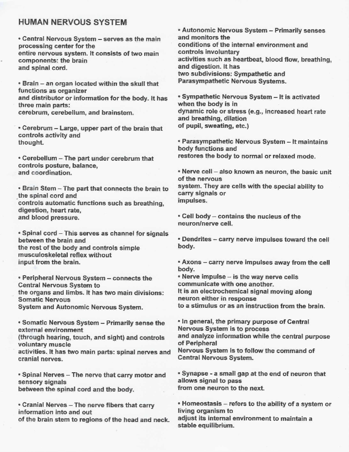 Nervous System - GOOD - HUMAN NERVOUS SYSTEM Autonomic Nervous System ...