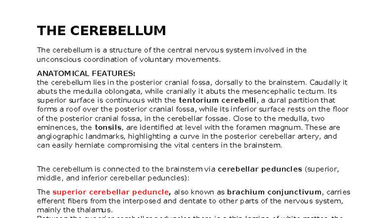 Cerebellum Overview: Anatomy & Function (MED 101) - Studocu