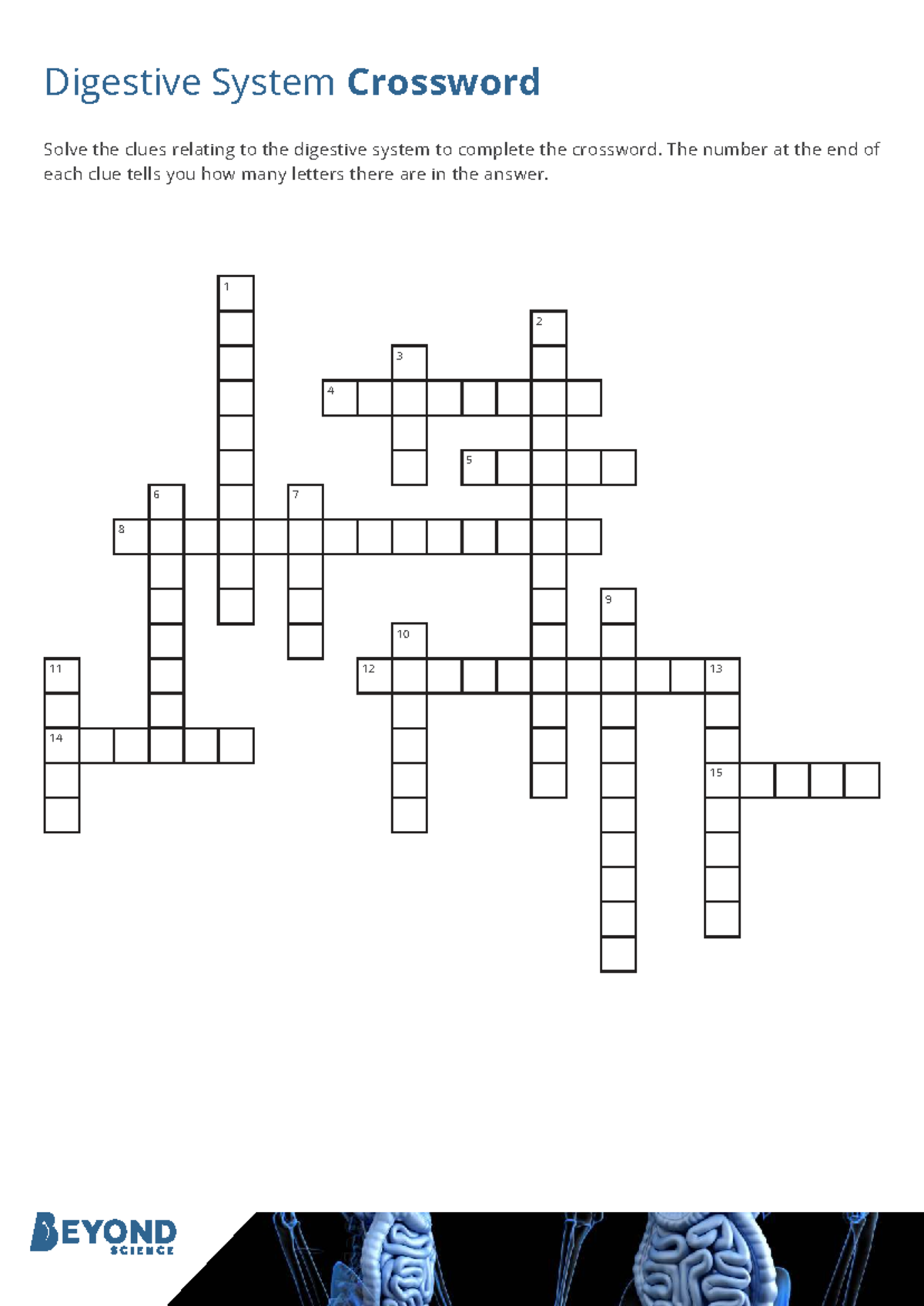 Digestive System Crossword Puzzle Solutions - Studocu