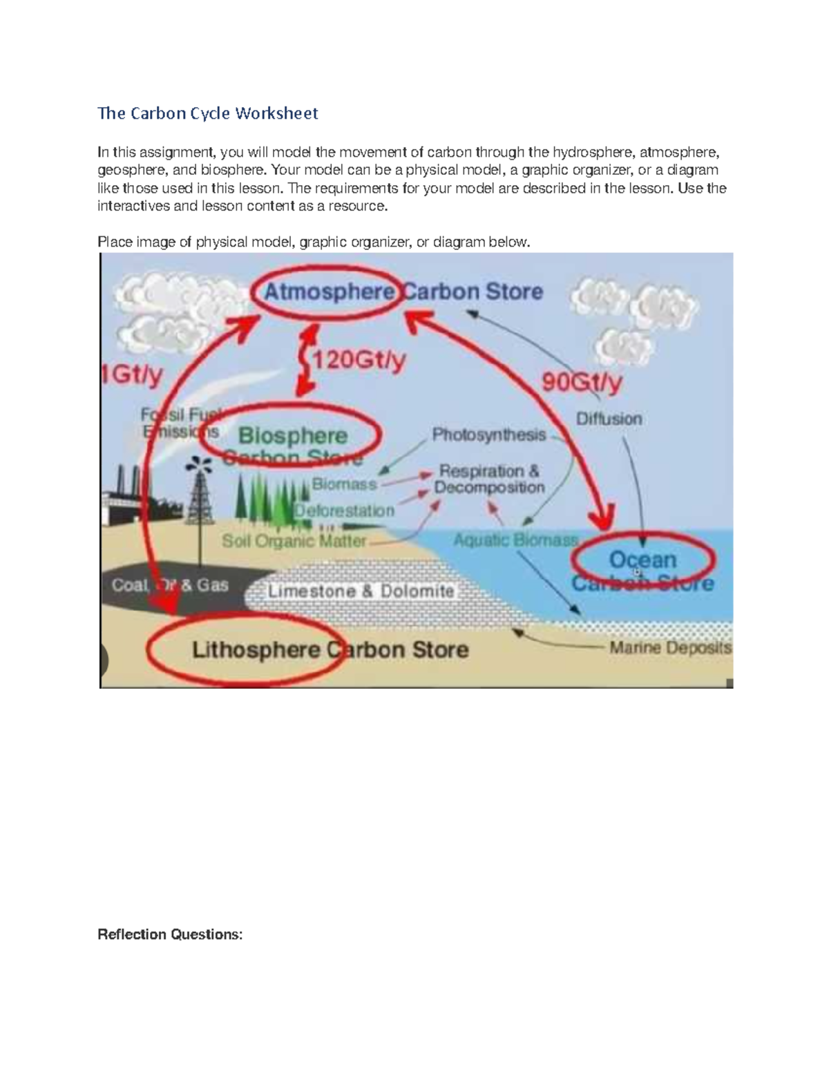 Carbon Cycle Modeling Worksheet: Exploring Human Impact and Systems ...