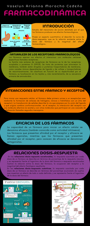 Infografía Farmacocinética - FARMACOCINÉTICA ESTUDIO DE LA DISTRIBUCIÓN ...