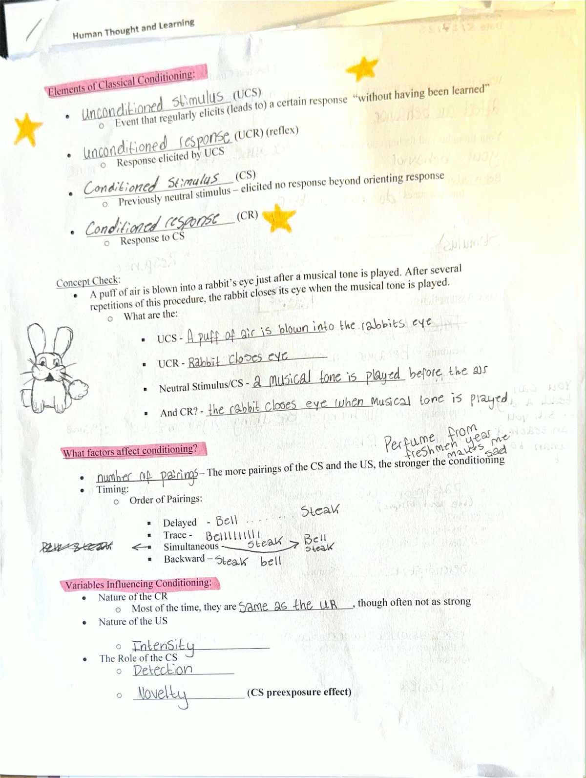 Final Exam Study Guide for ABC123: Classical Conditioning Insights ...