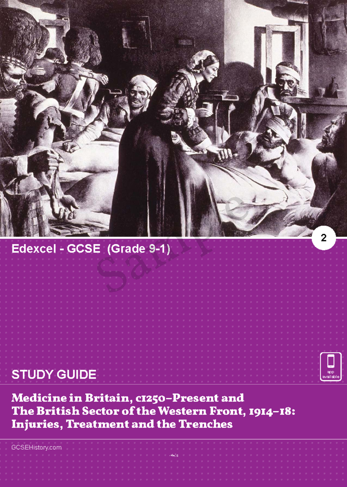 Medicine in Britain: Injuries, Treatment & the Western Front (Edexcel ...