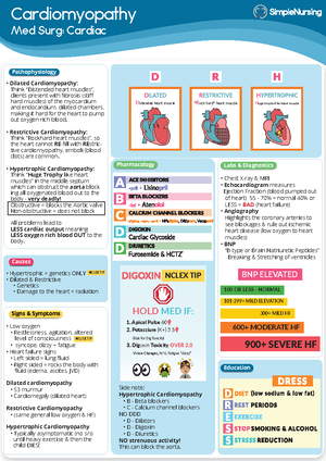 PNC Chapter 07 Pain Management - Chapter 7: Pain Management *The ...