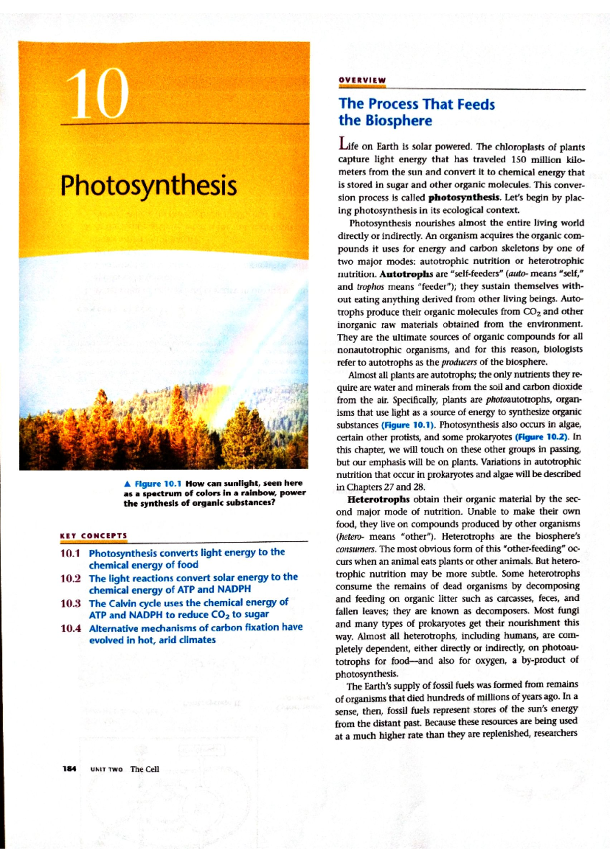 the photosynthesis - 10 OVERVIEW The Process That Feeds the Biosphere ...