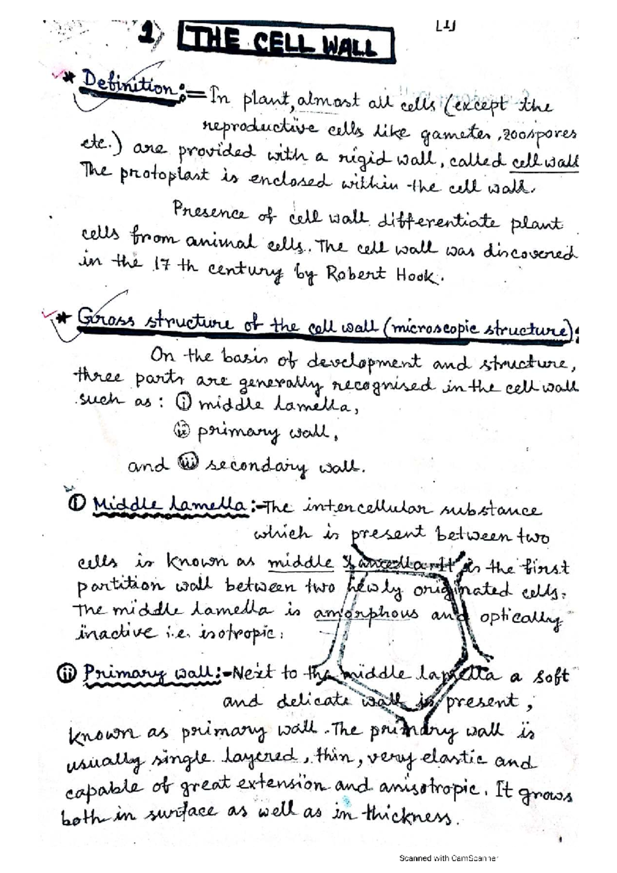 SB Botany Plant Anatomy: The Structure and Function of Cell Walls - Studocu
