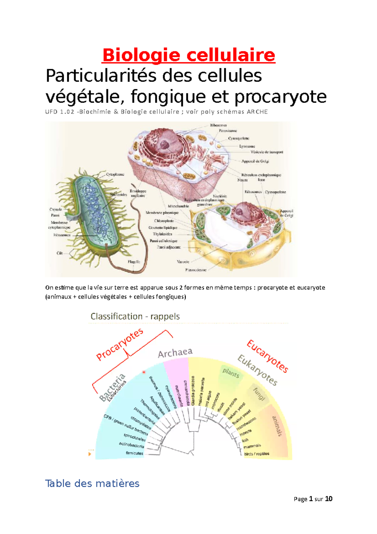 Diagramme De Cellule Fongique Le Microbiote Des Plantes, De Son Rôle