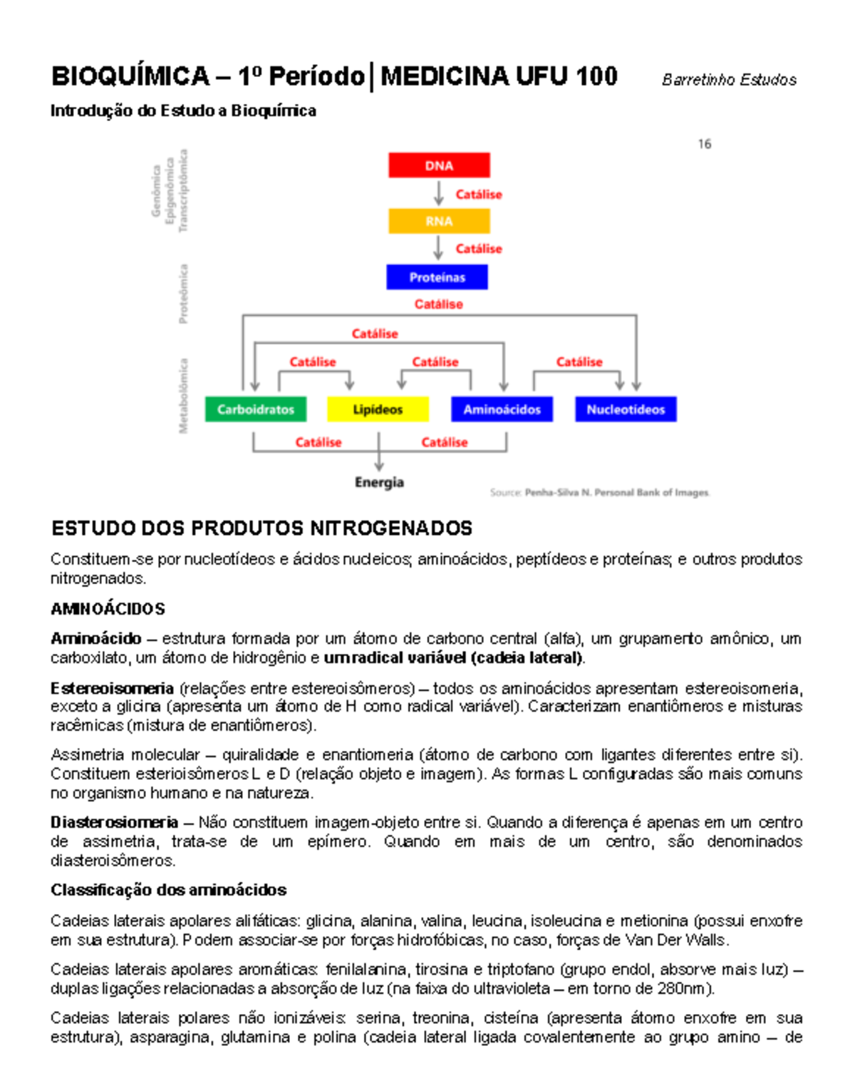 Bioquímica – Resumo e anotações (Barreto) 2024-07-23 19 07 46 ...