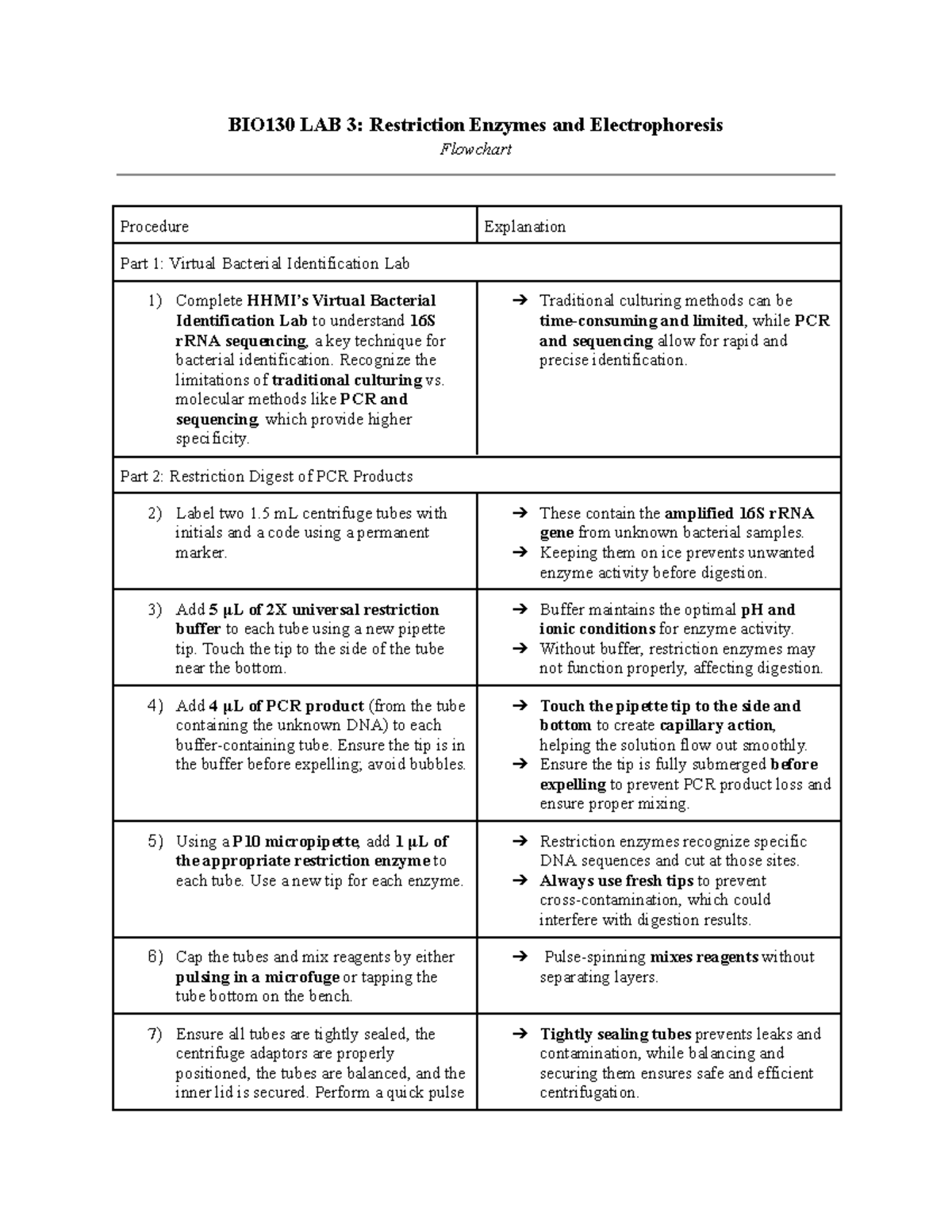 BIO130 Lab 3: Flowchart for Restriction Enzymes & Electrophoresis - Studocu