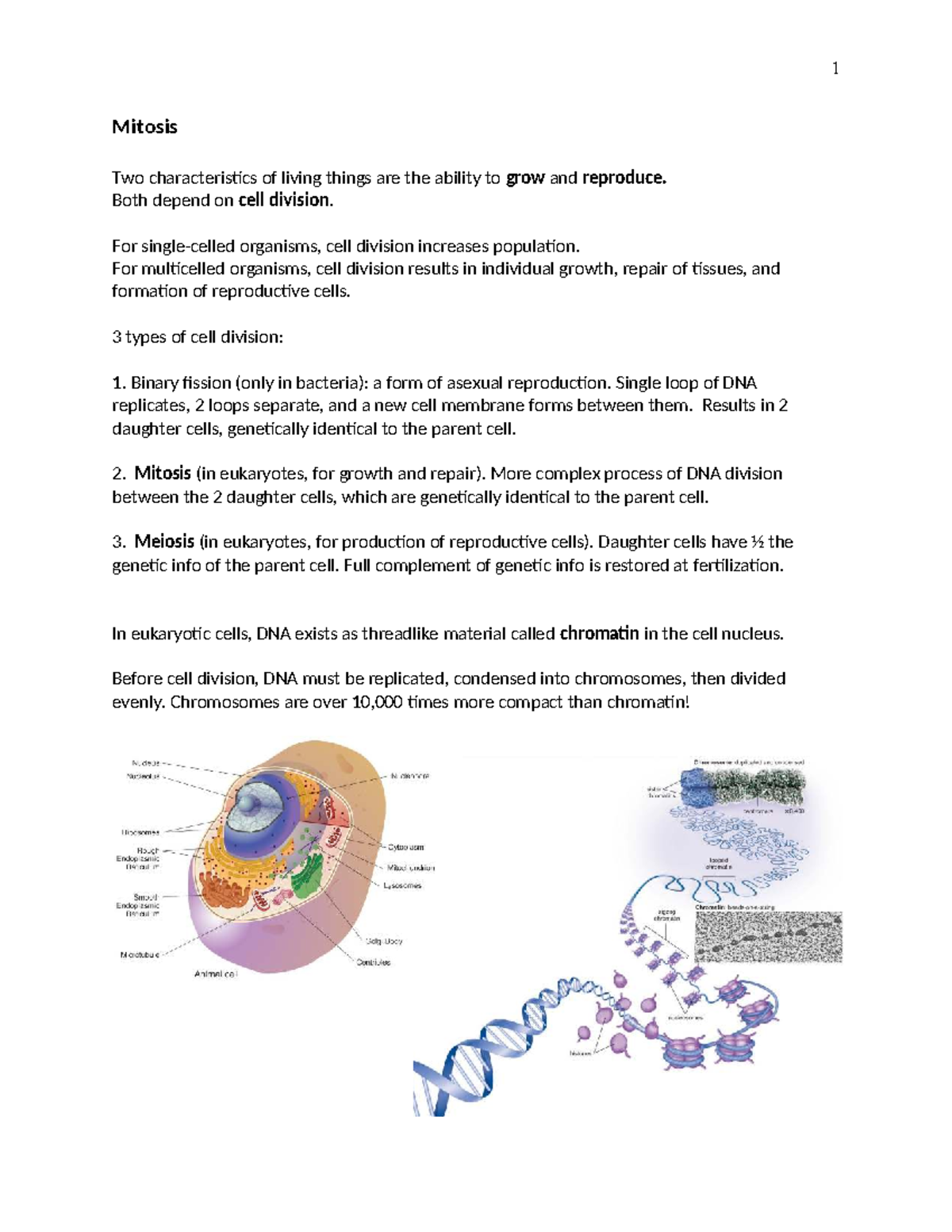 Cell Division Processes: Mitosis, Meiosis, & Cytokinesis (Bio 101 ...