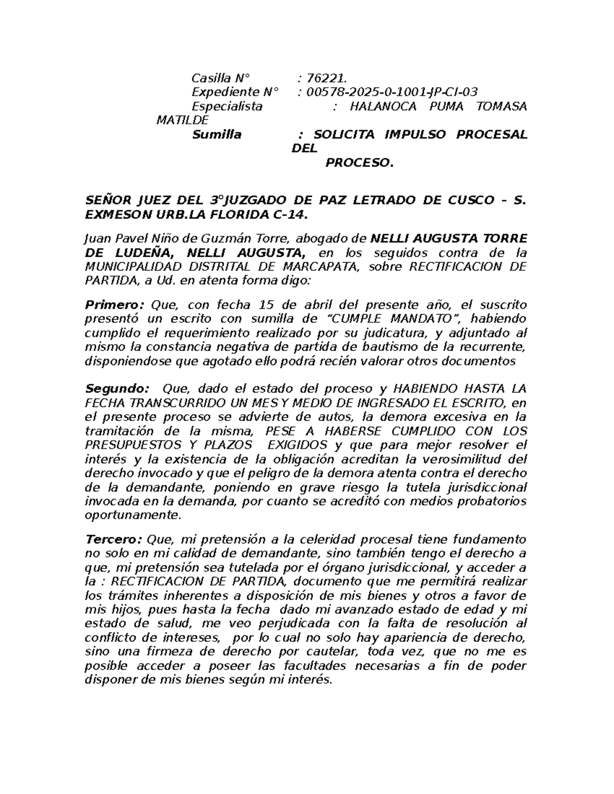 Impulso Procesal en el Caso de Rectificación de Partida 76221 - Studocu