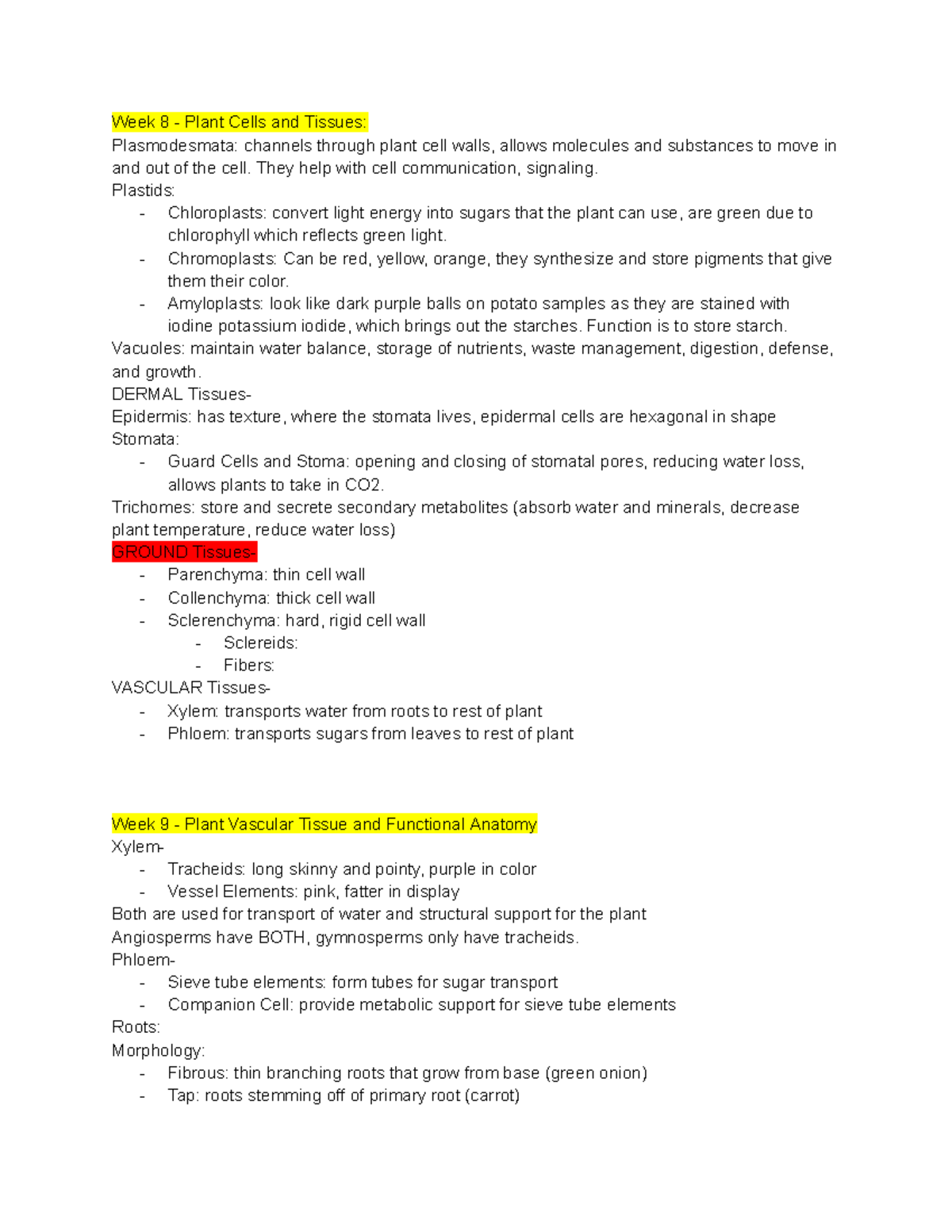 Biology 212 Lab Study: Plant Cells, Tissues, and Anatomy Insights ...