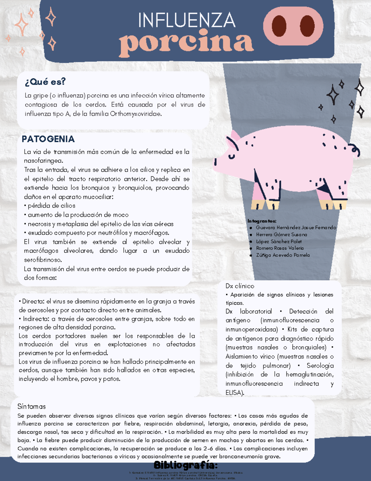 Influenza Porcina: Patología, Transmisión y Diagnóstico - Studocu