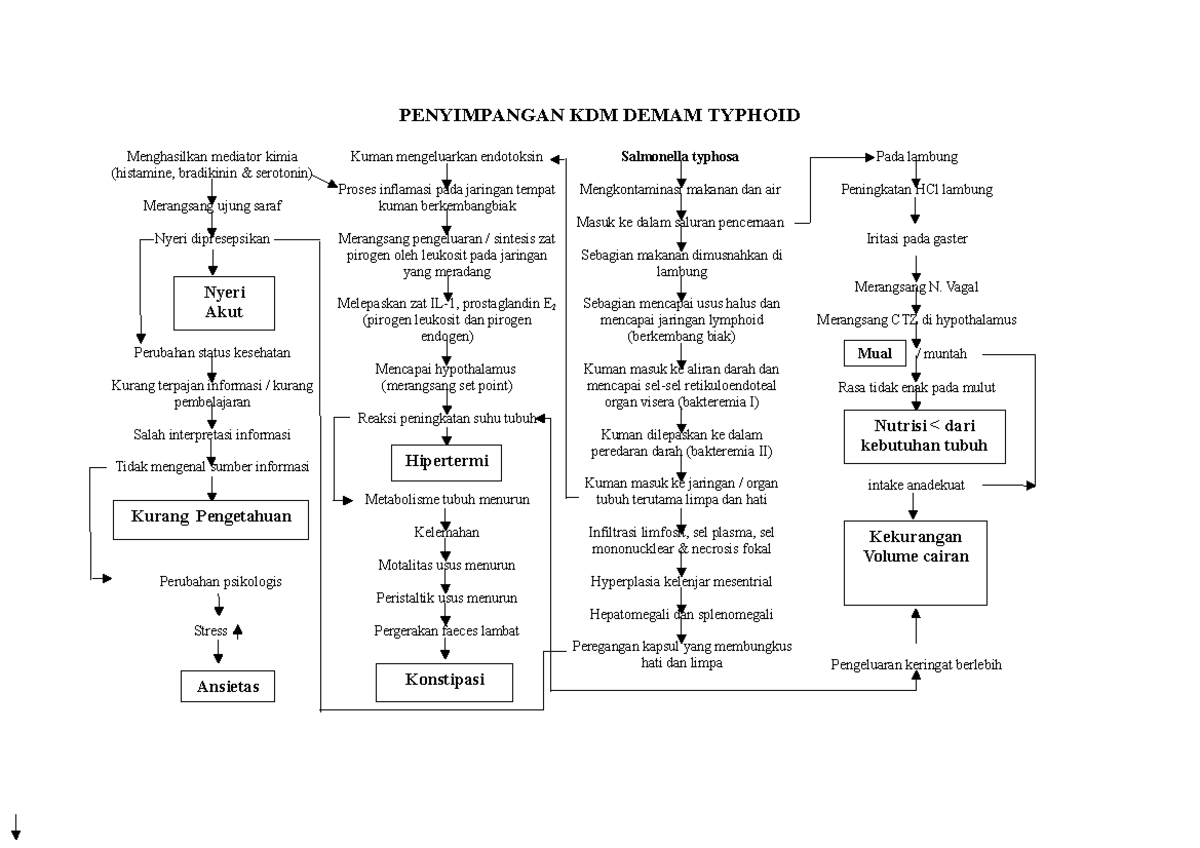 Penyimpangan KDM pada Demam Typhoid: Patogenesis dan Manifestasi Klinik ...