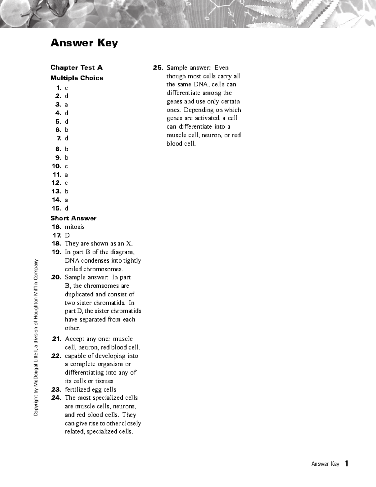 Biology 7 - Chapter 5 Test A Answer Key & Short Answers - Studocu