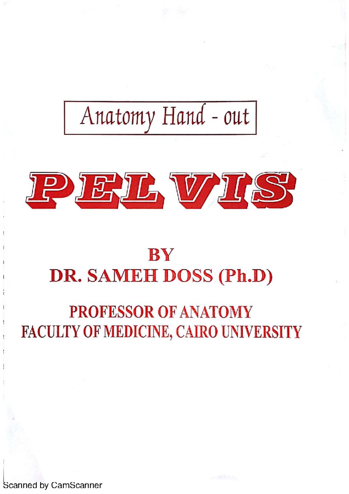 Pelvis Study Notes by Sameh Doss - Studocu
