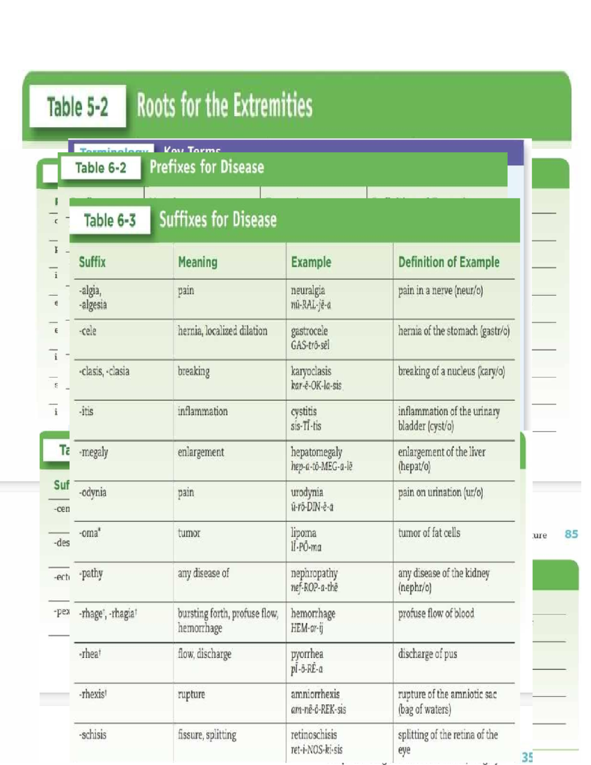 Medterm - Roots, Prefixes, and Suffixes for Disease Concepts - Studocu