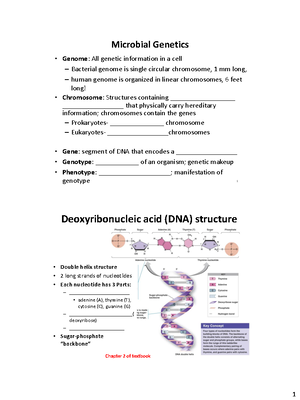 [Solved] A fermentation tube that contains lactose peptones and phenol ...