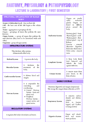 Anatomy and Physiology - Respiratory – Cellular=food , external=normal ...