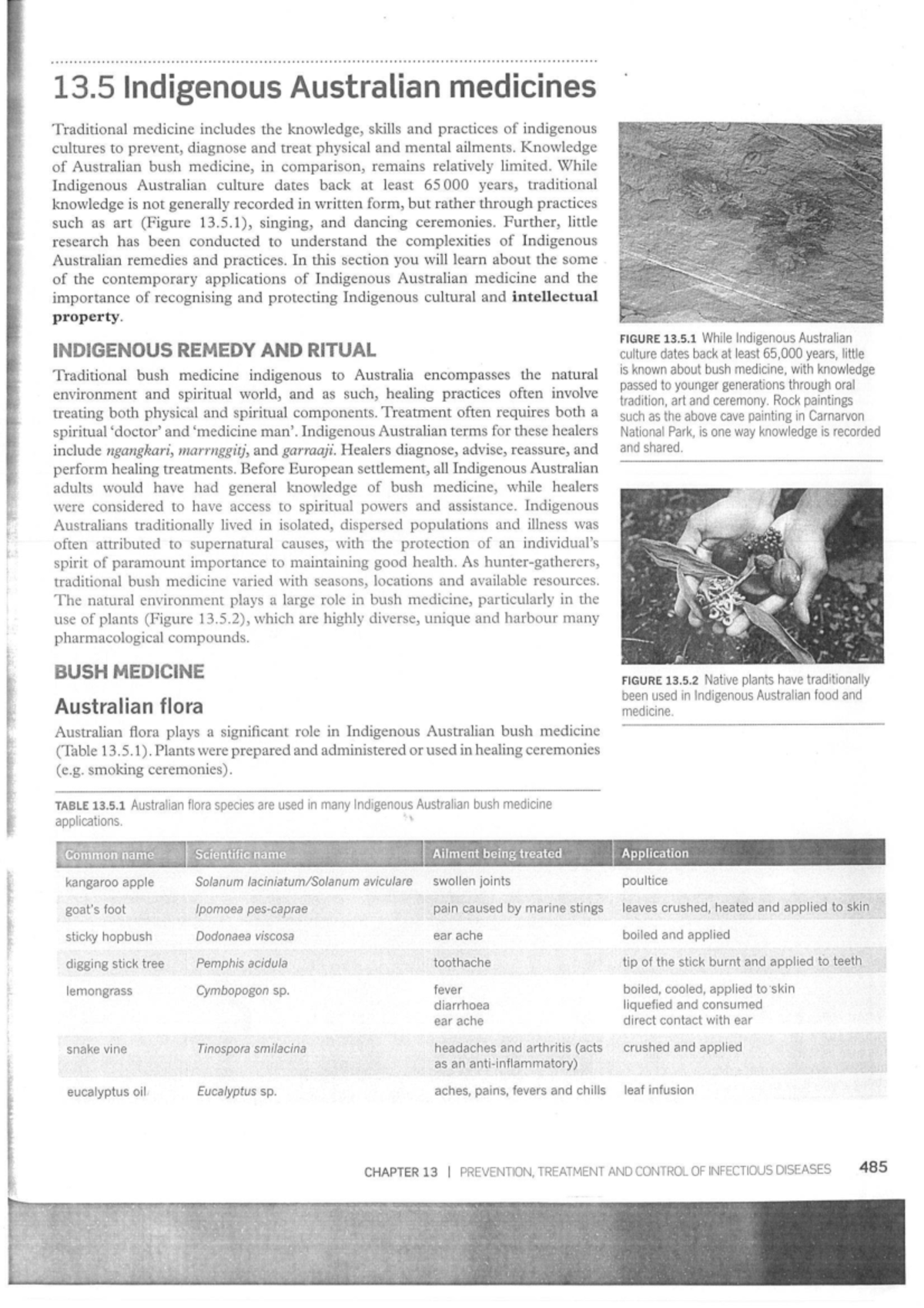 22. Indigenous Australian Medicines: Traditional Practices and Modern ...