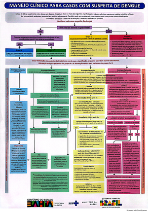 Manejo-inicial-do-paciente-adulto-com-choque 2024 - Guia do Episódio de ...