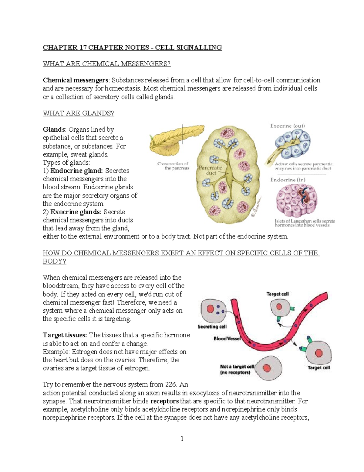 CH227 CHAPTER 17 NOTES: CELL SIGNALLING & CHEMICAL MESSENGERS - Studocu
