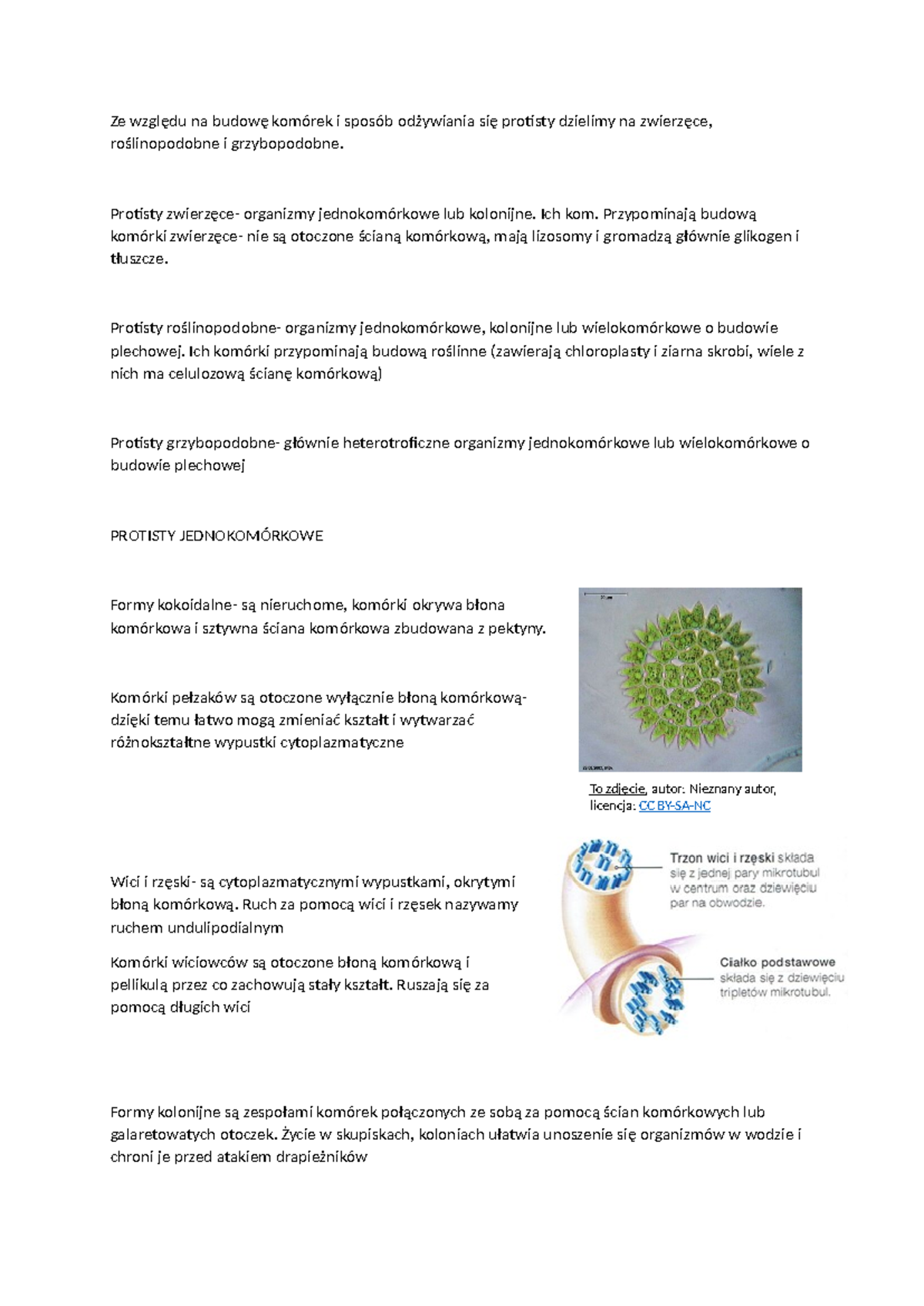 Biologia Rozszerzona: Protisty i Grzyby - Kluczowe Informacje - Studocu