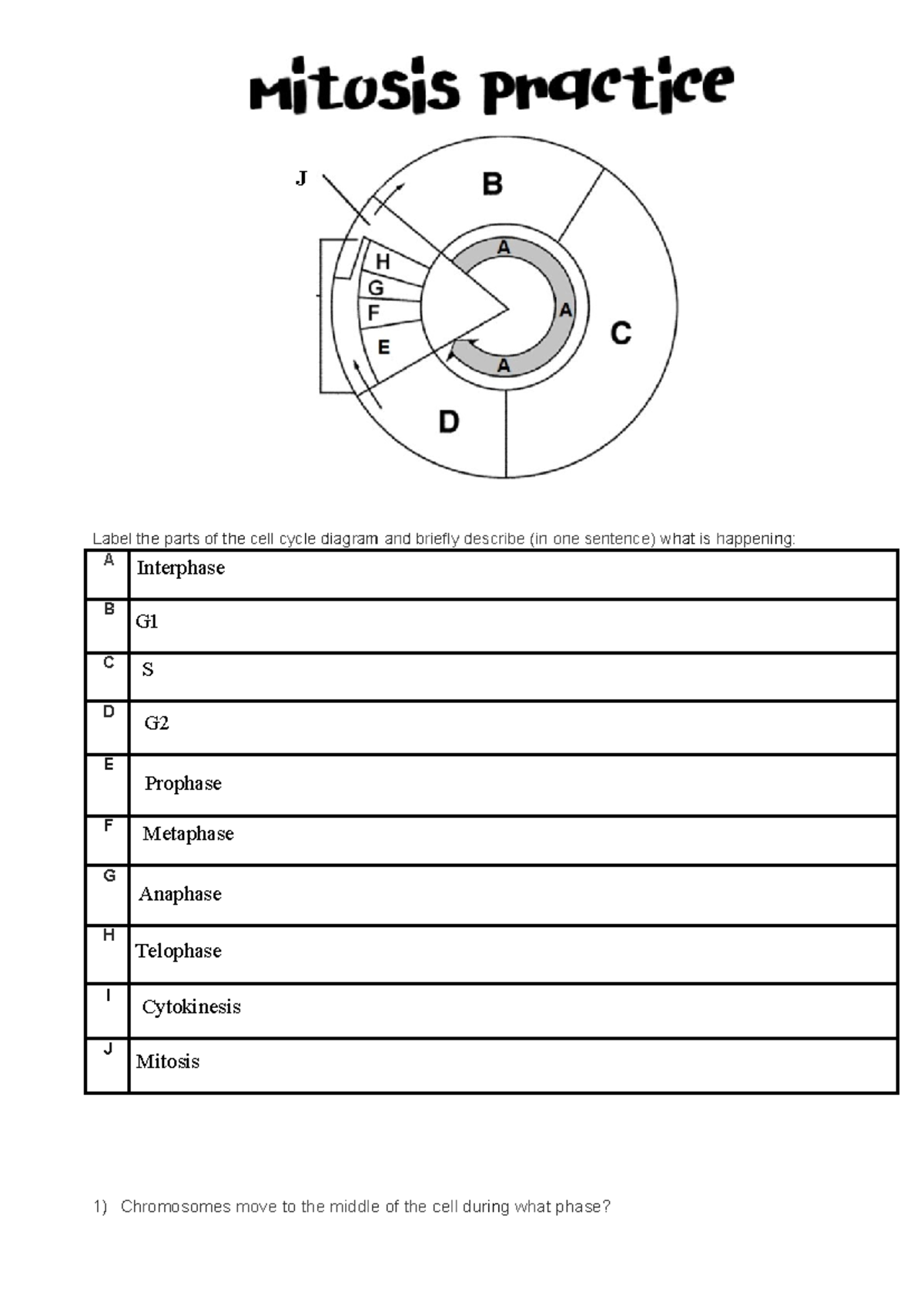 Cell cycle Mitosis review worksheet - J Label the parts of the cell ...
