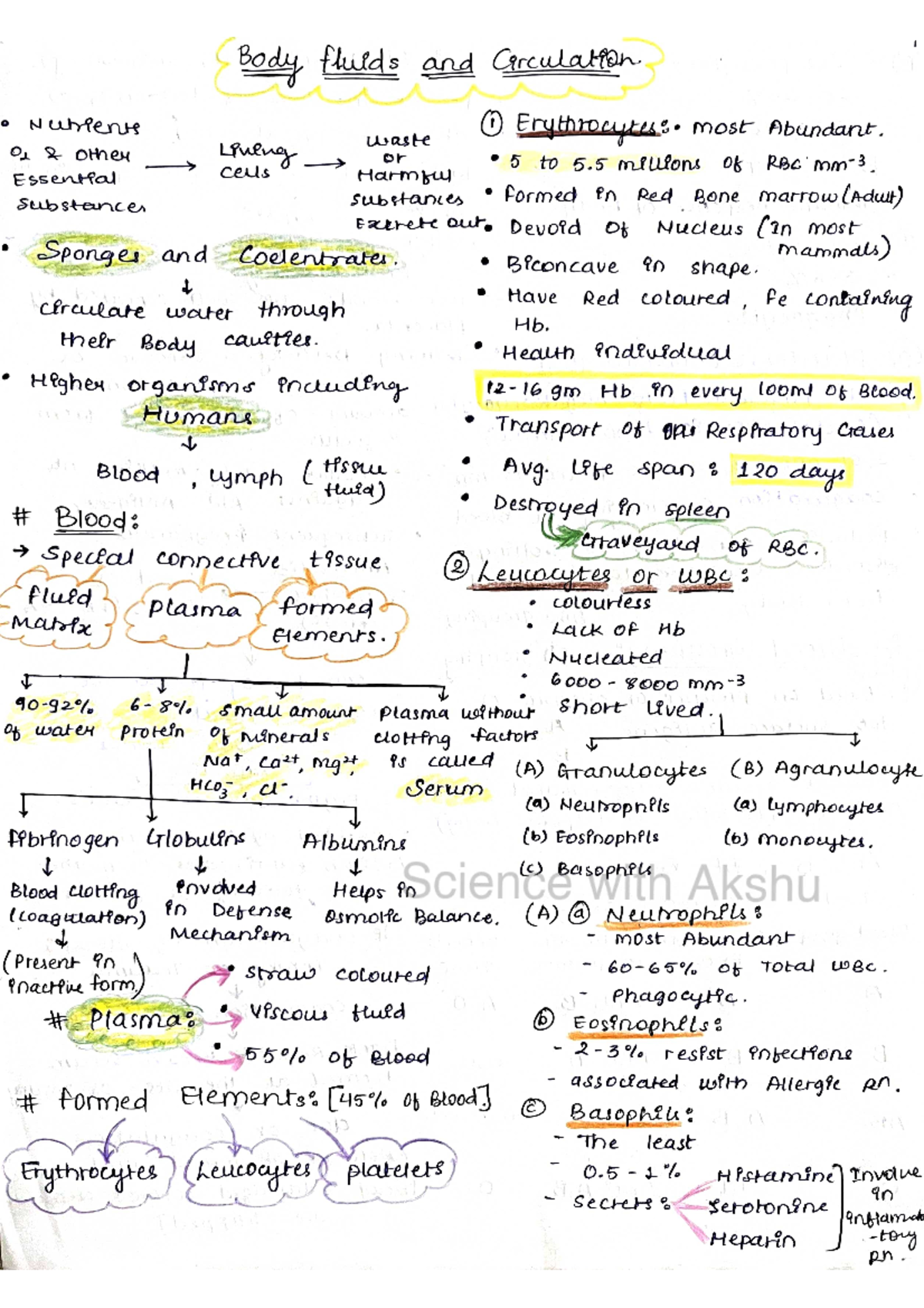 Body fluid and circulation - Biology class 11 - Studocu