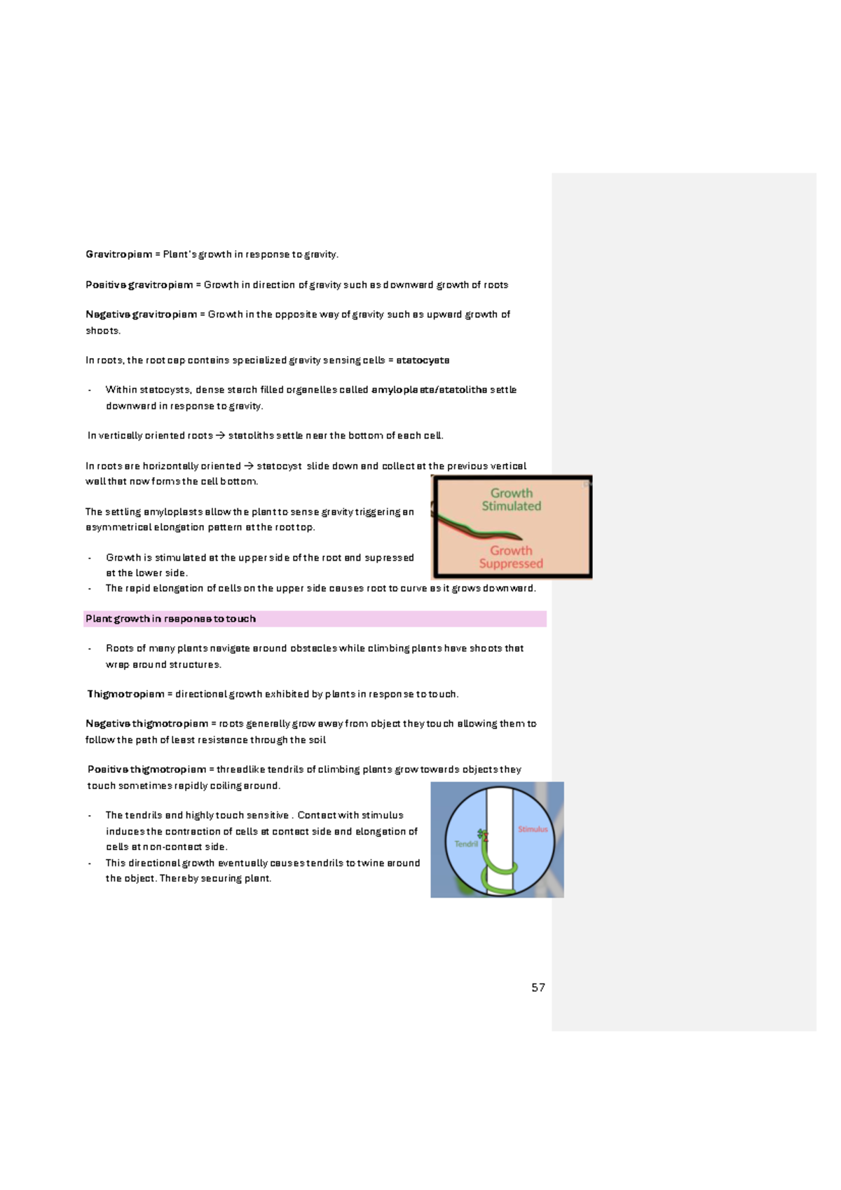 Bio 101: Gravitropism and Sensory Systems in Plants and Animals - Studocu