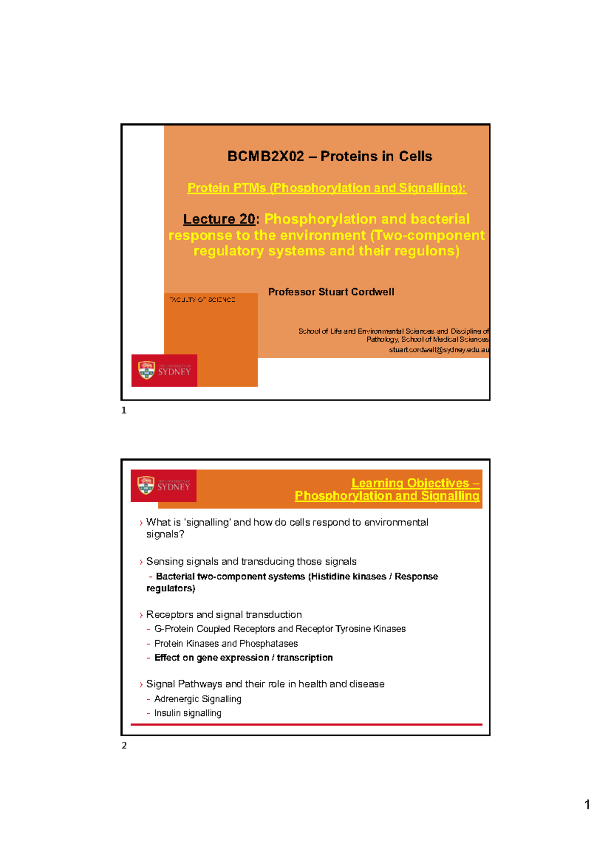 BCMB2X02 Lecture 20: Bacterial TCS and Phosphorylation Mechanisms - Studocu