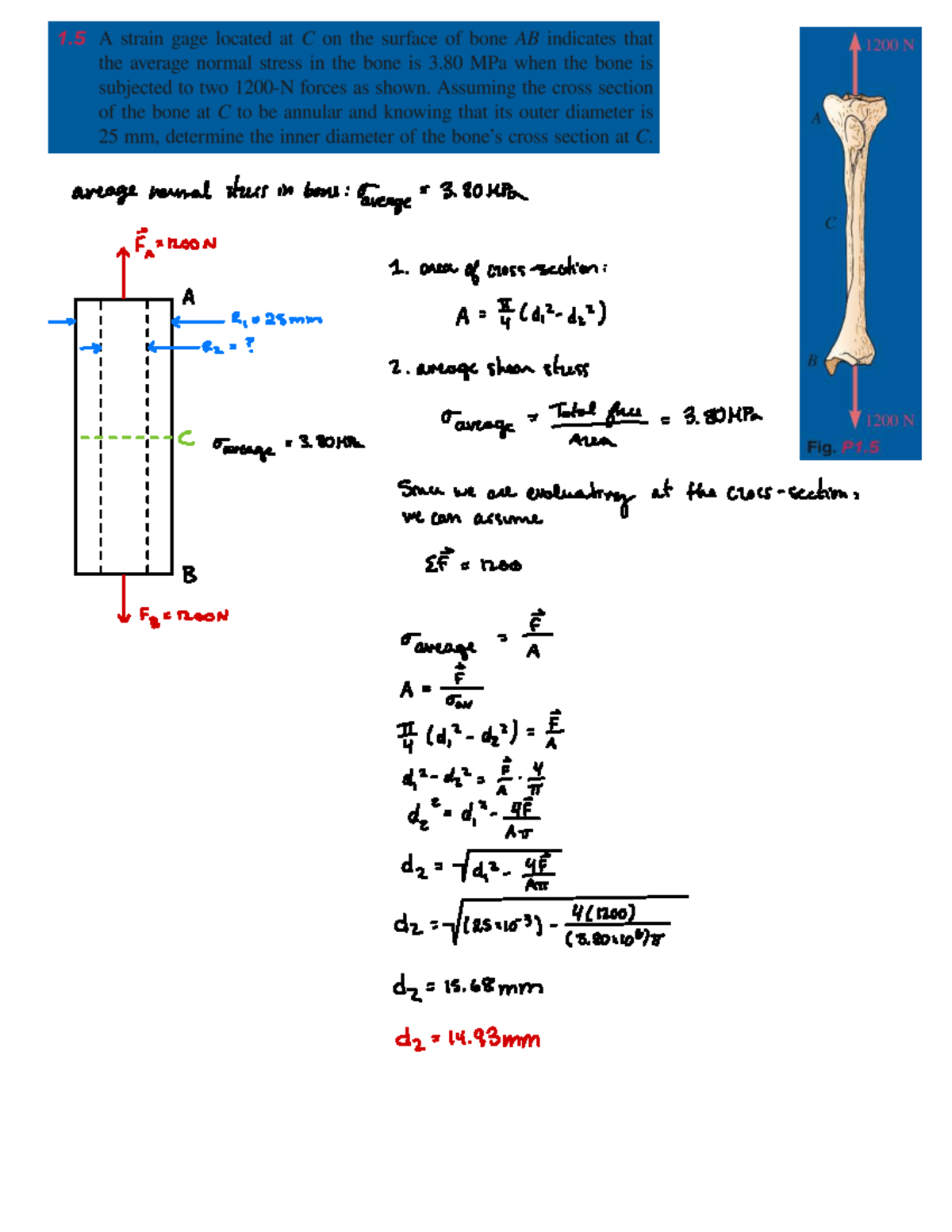 Exercices ENGR 244 - Mechanics of Materials: Stress Analysis Problems ...