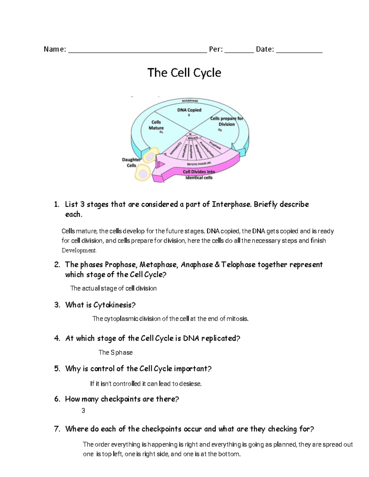 Cell Cycle Intro Worksheet - EVAN Mazzarella - Biology 101 - Studocu