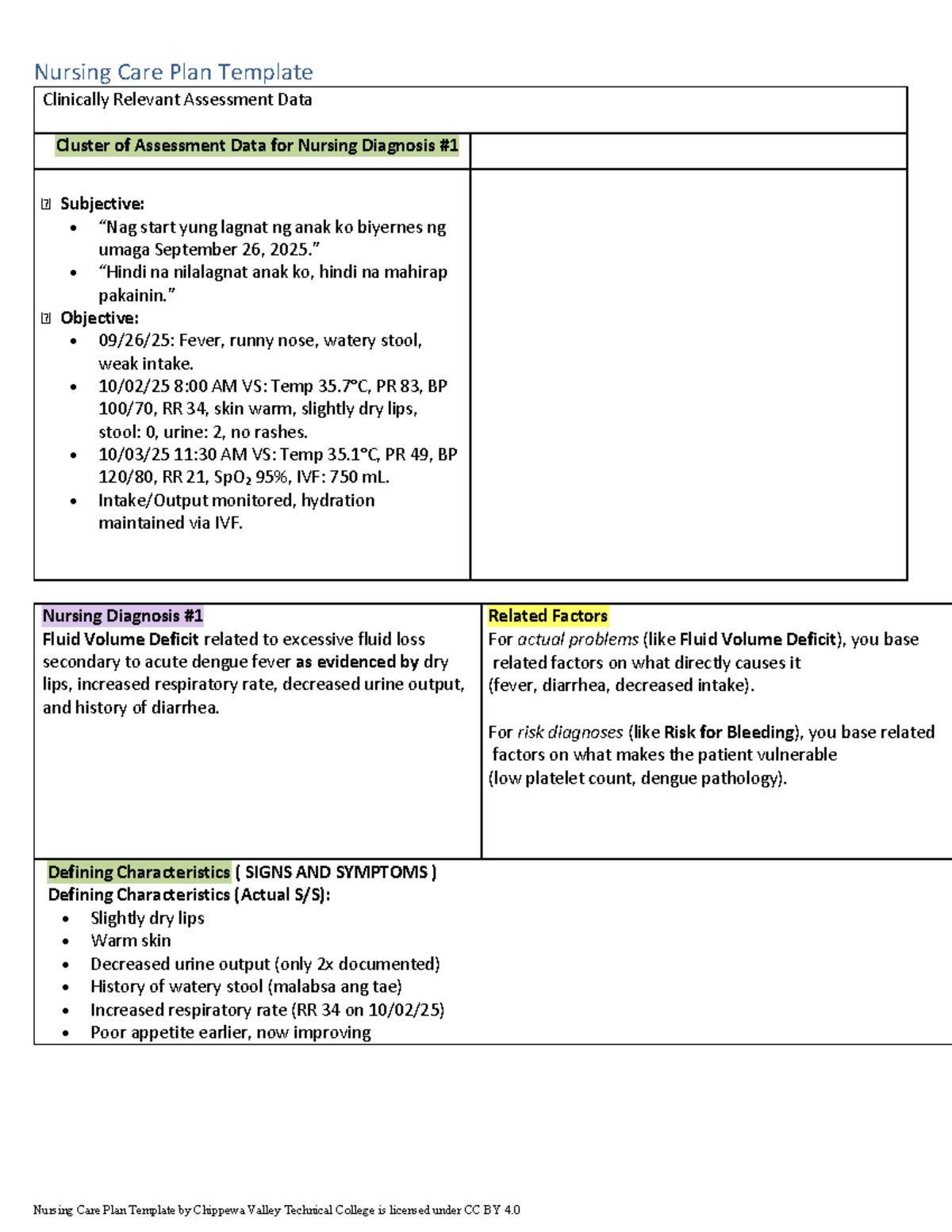 Nursing Care Plan Template for Dengue Fever Management (NUR 101) - Studocu